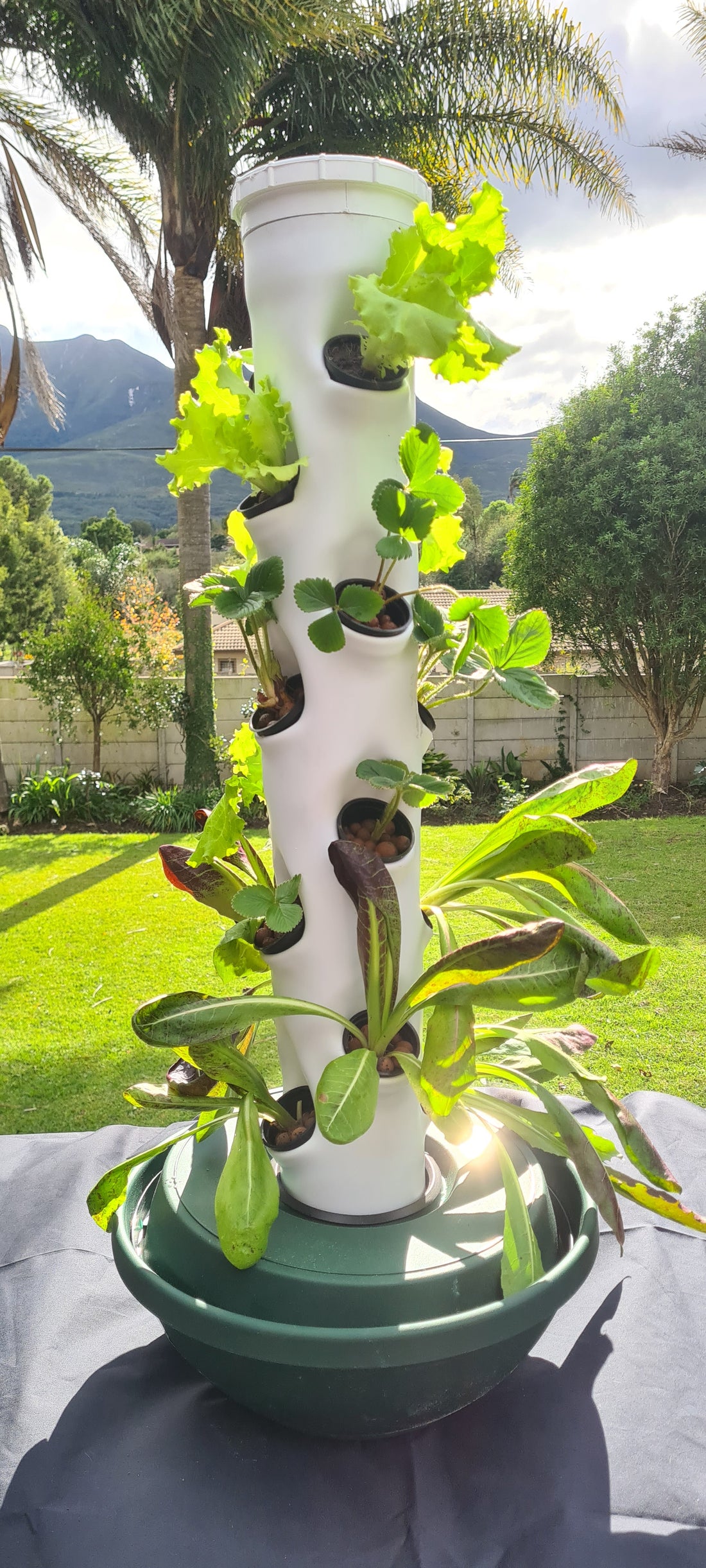 GrowSmart Solutions – Growsmart